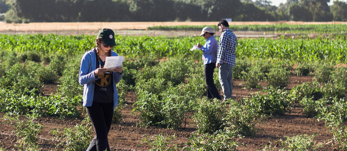 Blanco Lab - What we do in the Blanco Lab